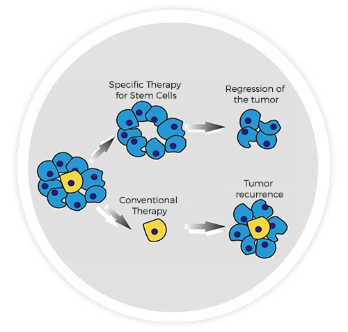 RGCC Malaysia - Research Genetic Cancer Center